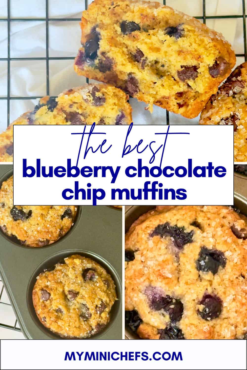 Chocolate Blueberry Muffins - My Mini Chefs